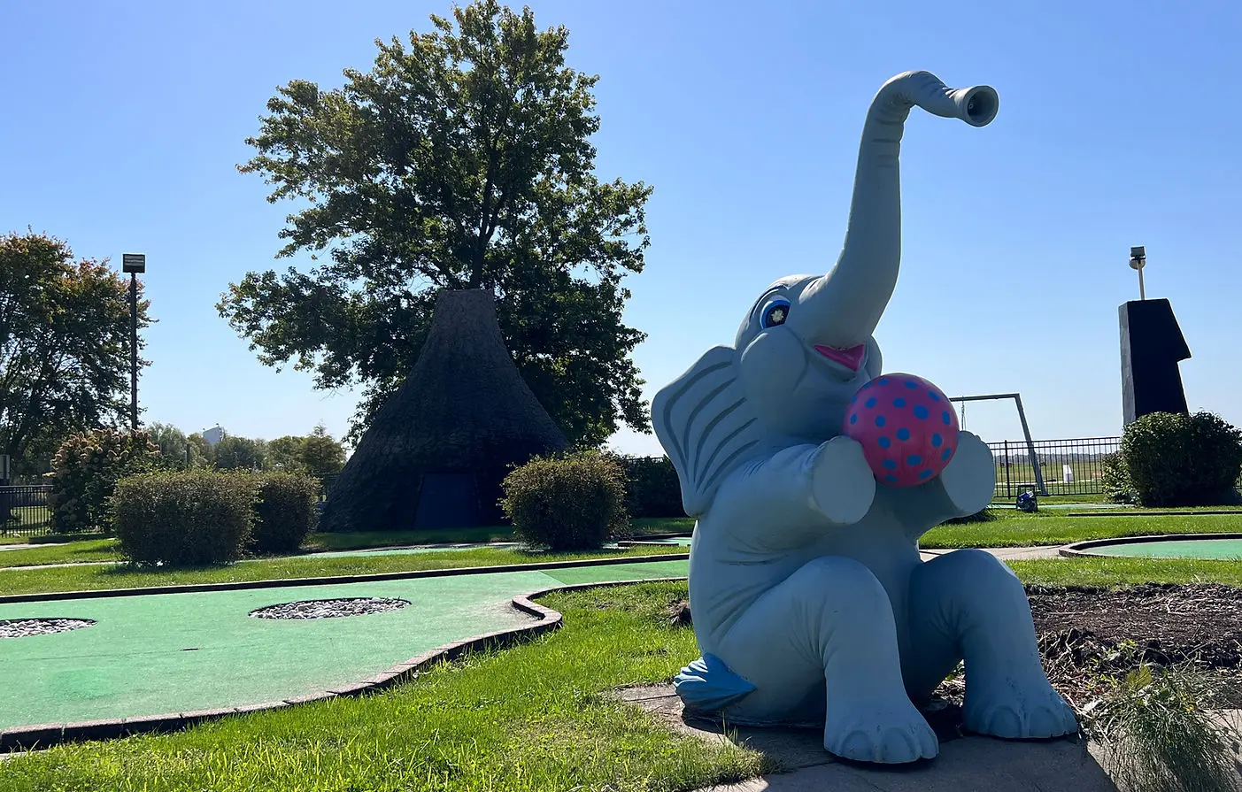 Mini Golf | Knight's Action Park in Springfield, IL